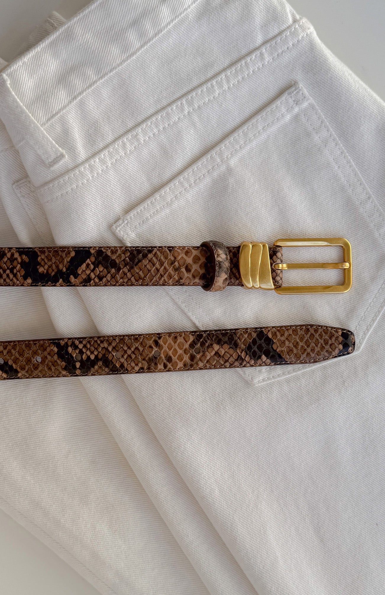Rex Belt Snake/Vintage Gold | White Fox Boutique